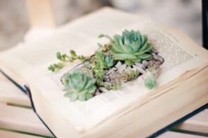 12 Must Have Succulent Books - Best Reads For Any Level!