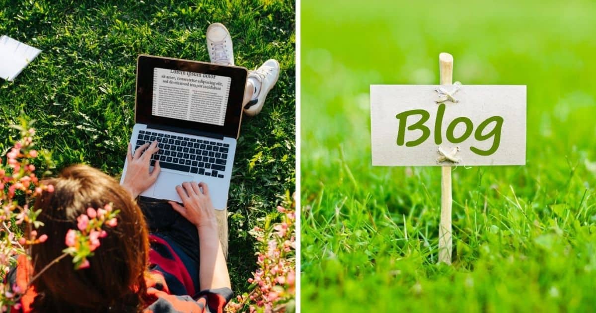 Top 40 Gardening Blogs You Need To Know About - Sublime Succulents