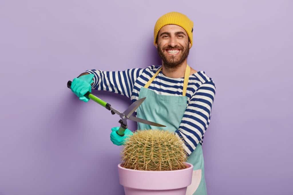 How To Trim Cactuses: Step by Step Guide - Sublime Succulents