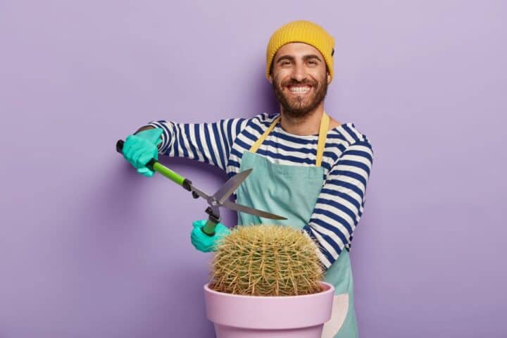 How To Trim Cactuses: Step by Step Guide - Sublime Succulents